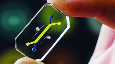 The Future of Medicine: The “Human Body-on-a-Chip” – Stories by Williams